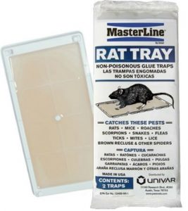Masterline Rat Glue Board